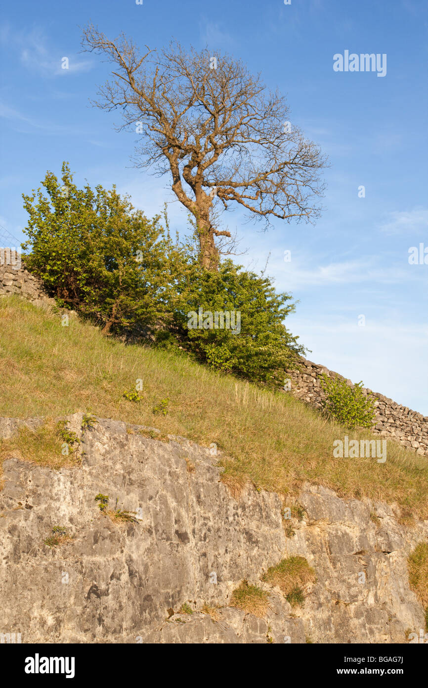 Yorkshire hillside hi-res stock photography and images - Alamy