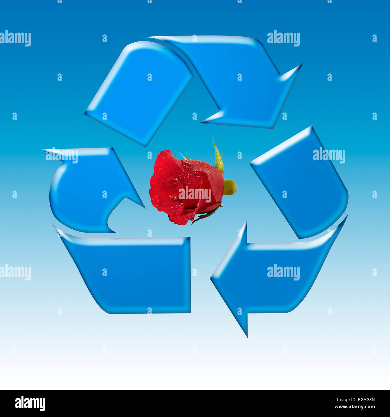 Sign of the rose hi-res stock photography and images - Alamy