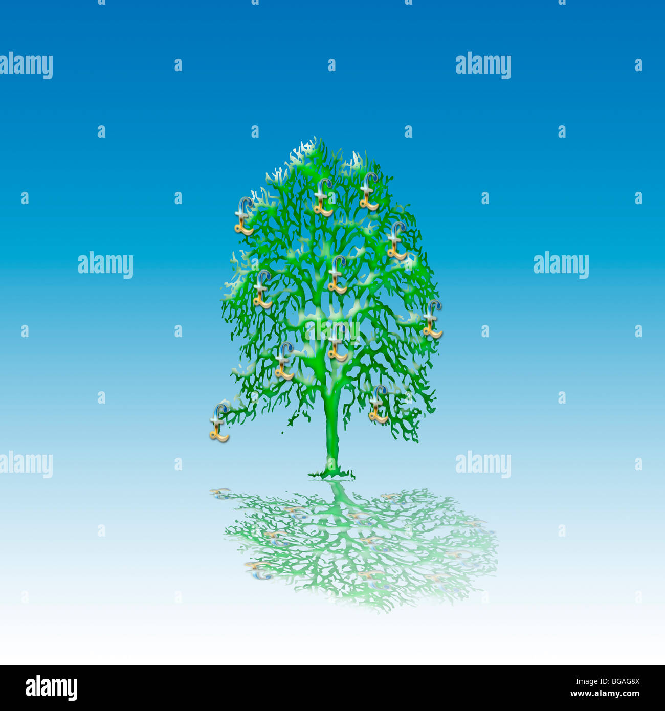 Money Tree and Reflection Stock Photo - Alamy