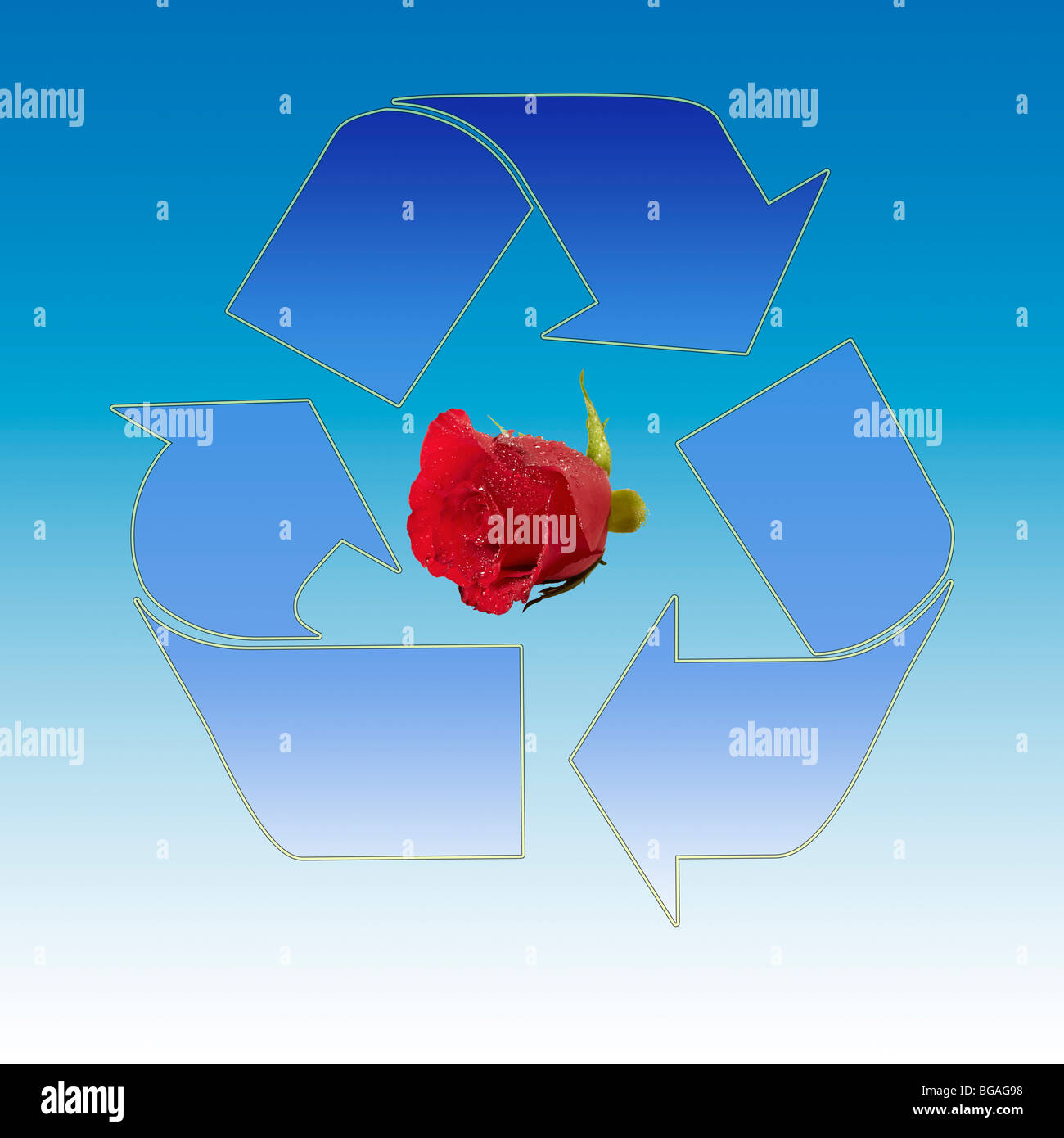 Recycle Sign around a Picture of a Red Rose Stock Photo - Alamy