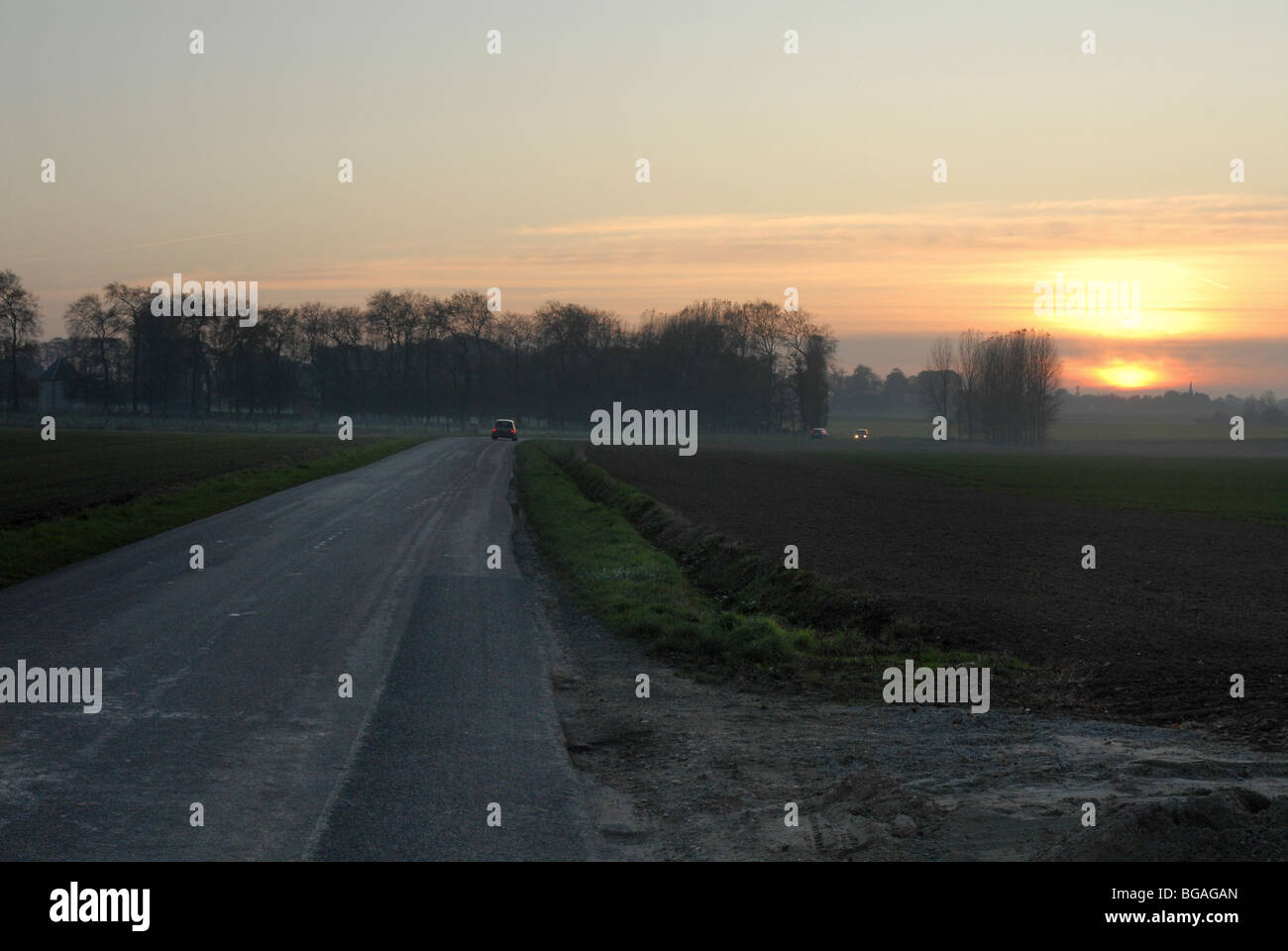 France, Normandy, forest at dusk Stock Photo - Alamy
