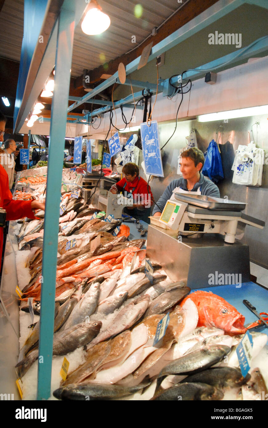 France, Paris, an outdoor, street food market a variety of fresh fish ...
