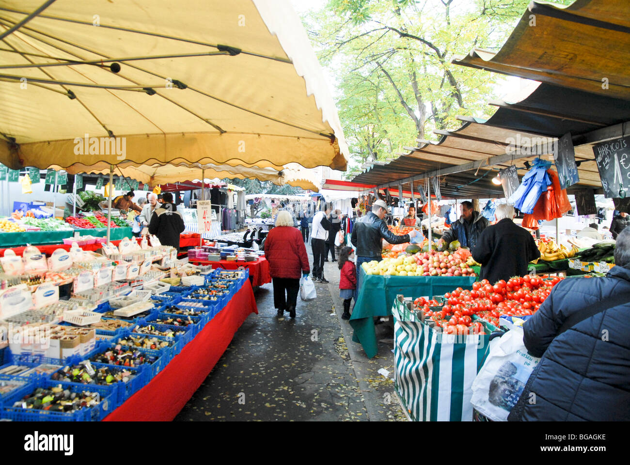 France, Paris, an outdoor, street food market a variety of fresh fish ...