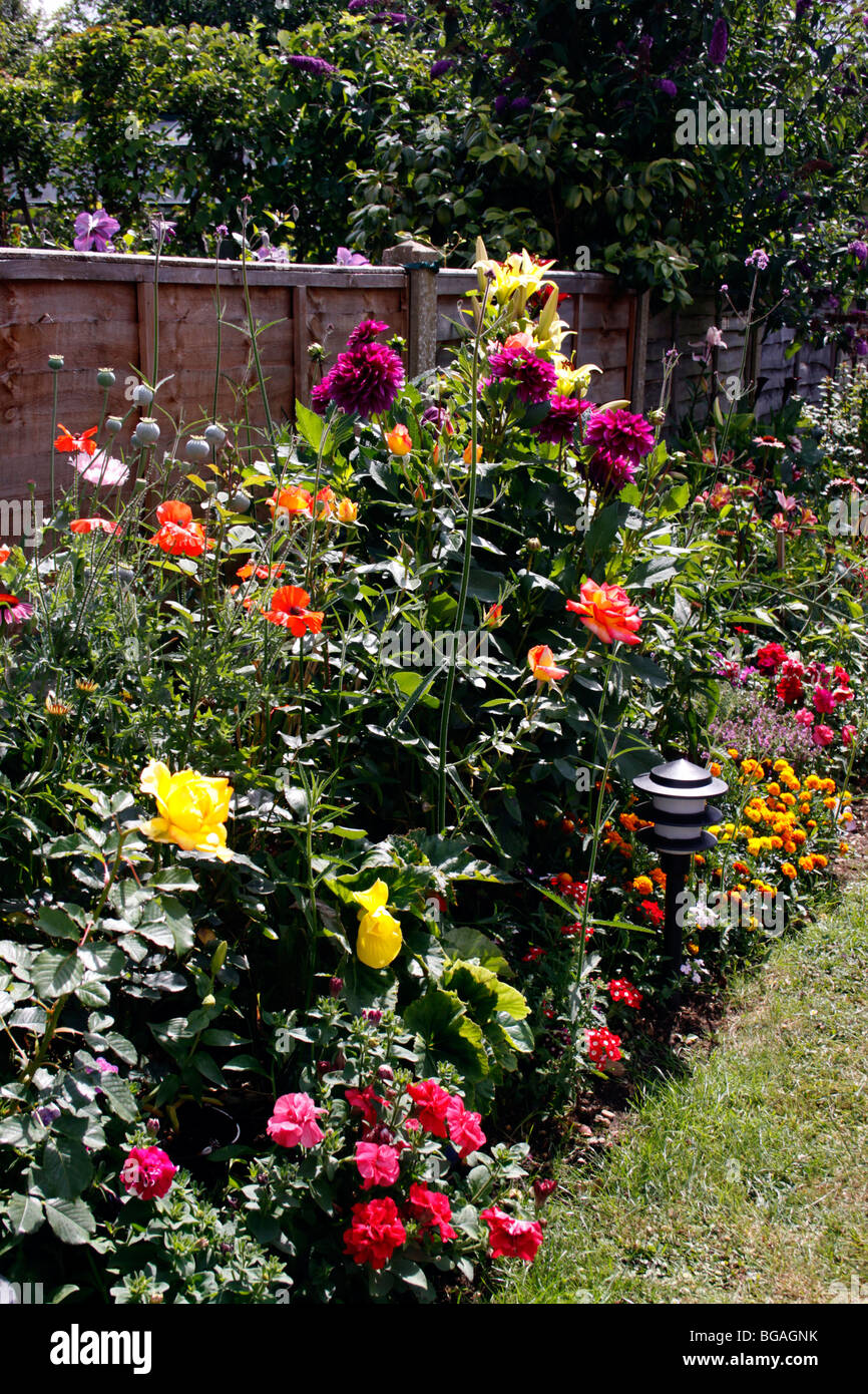 Summer flower border hi-res stock photography and images - Alamy