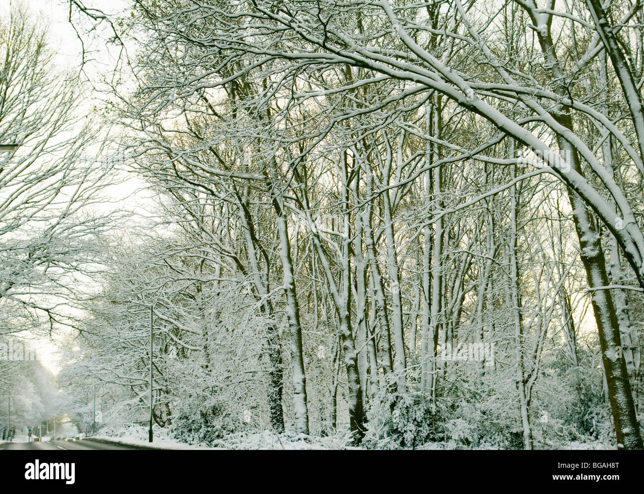 English roadside snow hi-res stock photography and images - Alamy