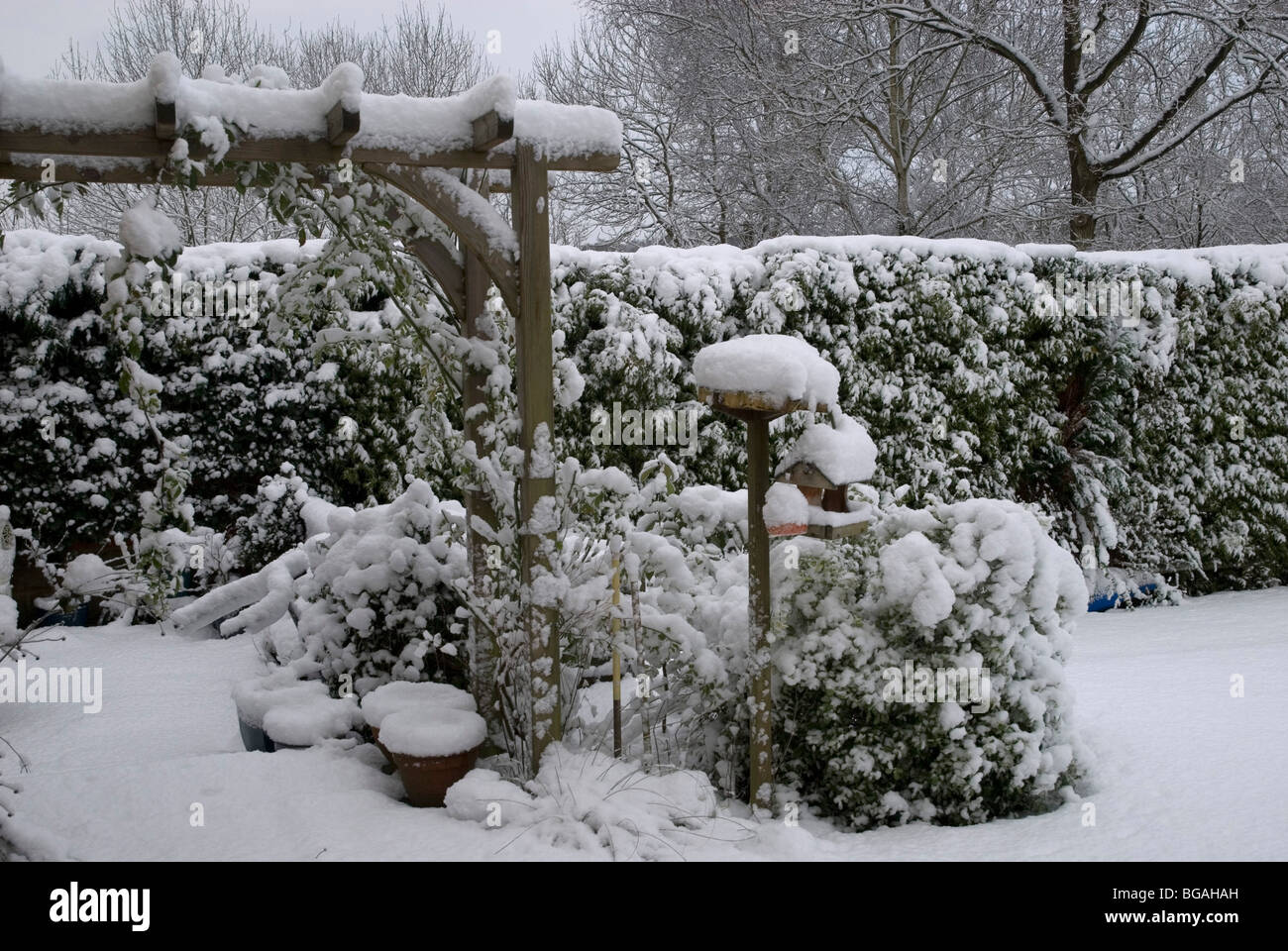 Picture snow in the early morning Stock Photo - Alamy