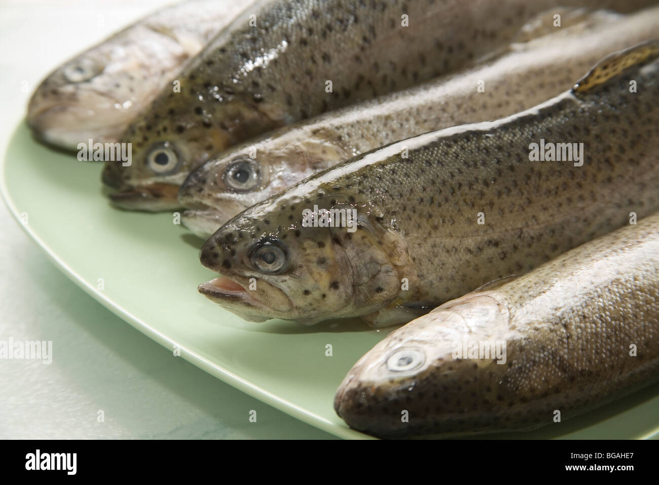 Trout forelle hi-res stock photography and images - Alamy