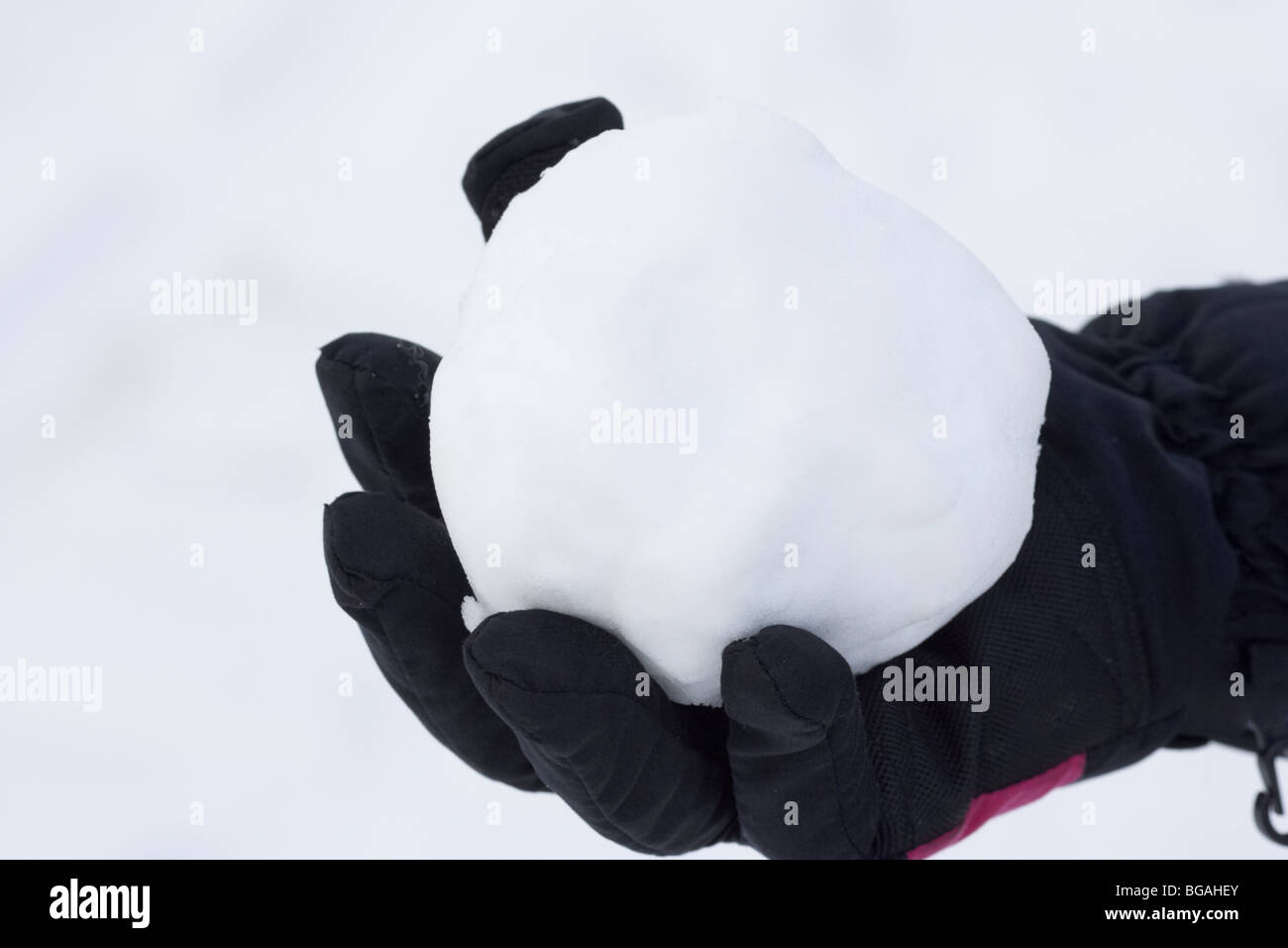 hand holding snowball with gloved hand Stock Photo - Alamy