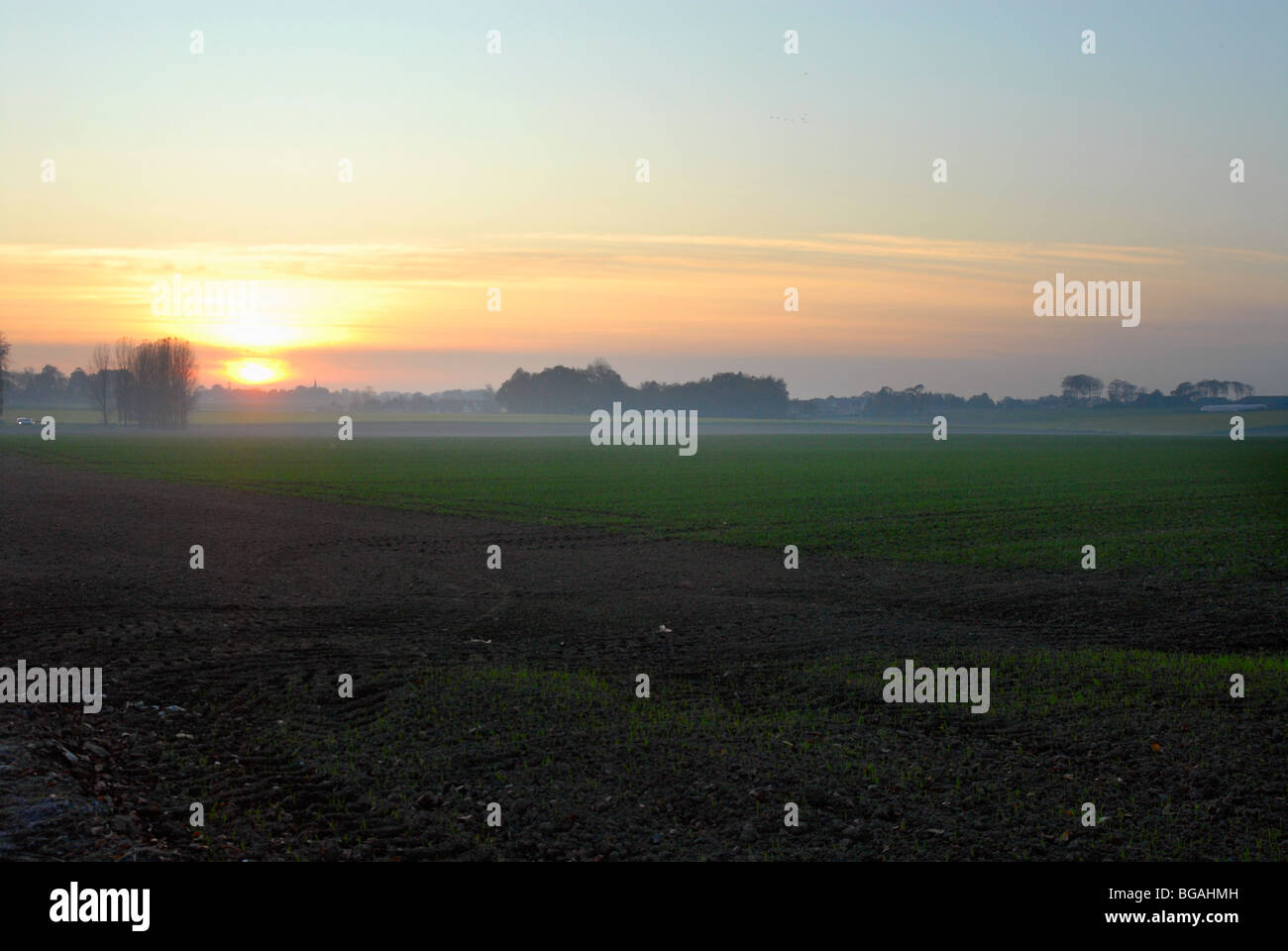 France normandy forest hi-res stock photography and images - Alamy