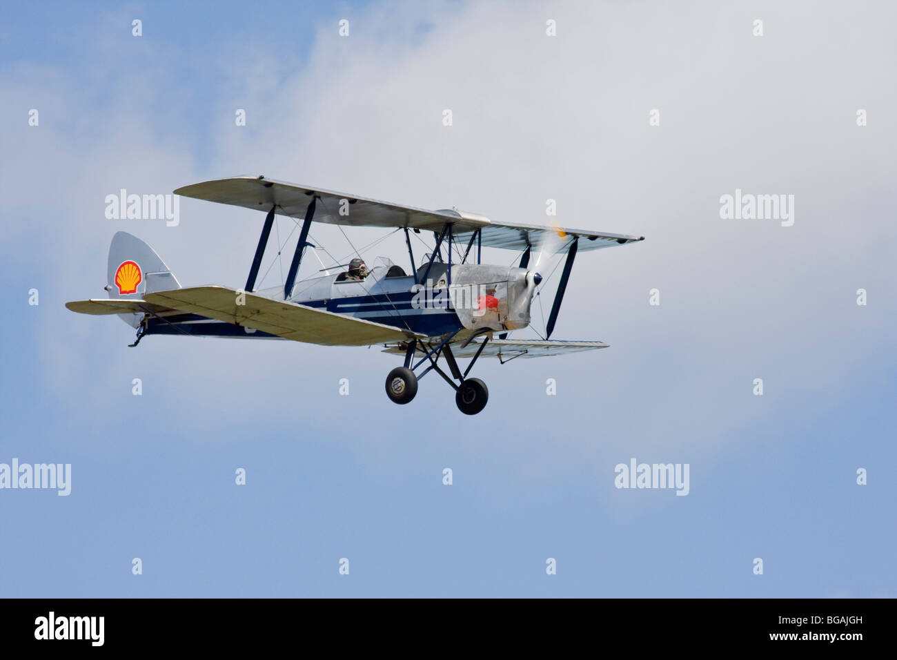 Tiger moth hi-res stock photography and images - Alamy