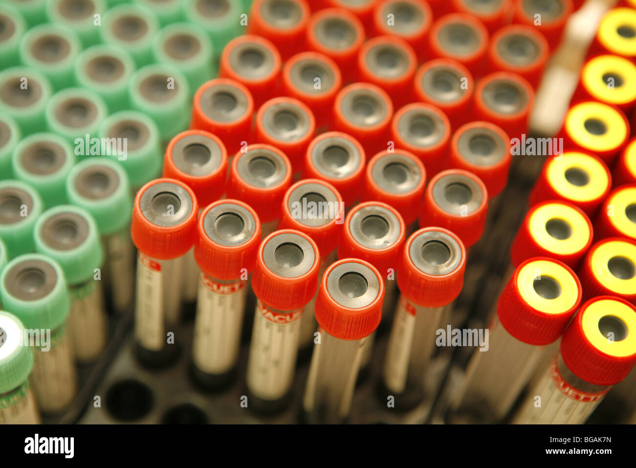 Empty test tubes Stock Photo - Alamy