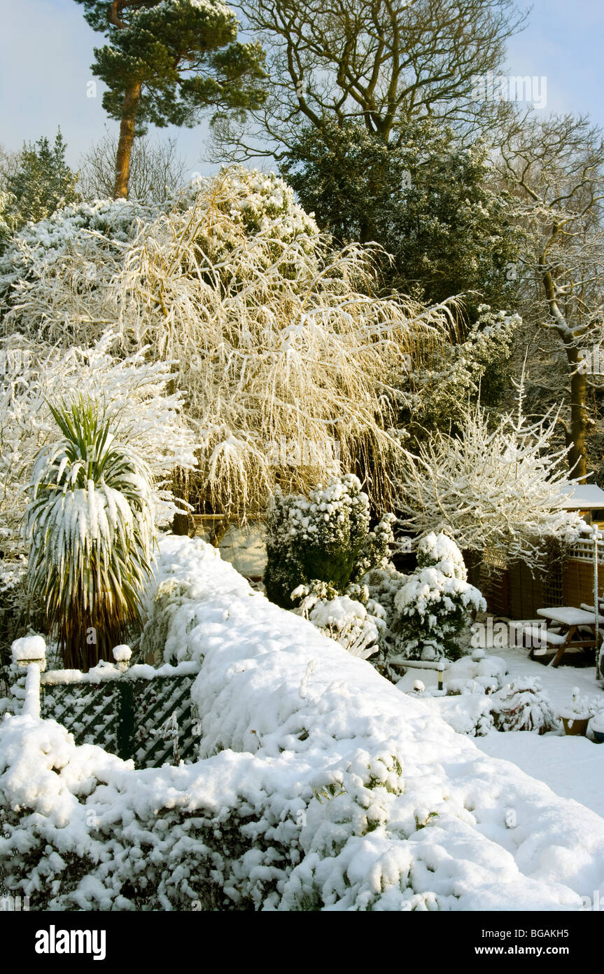 Back gardens hi-res stock photography and images - Alamy