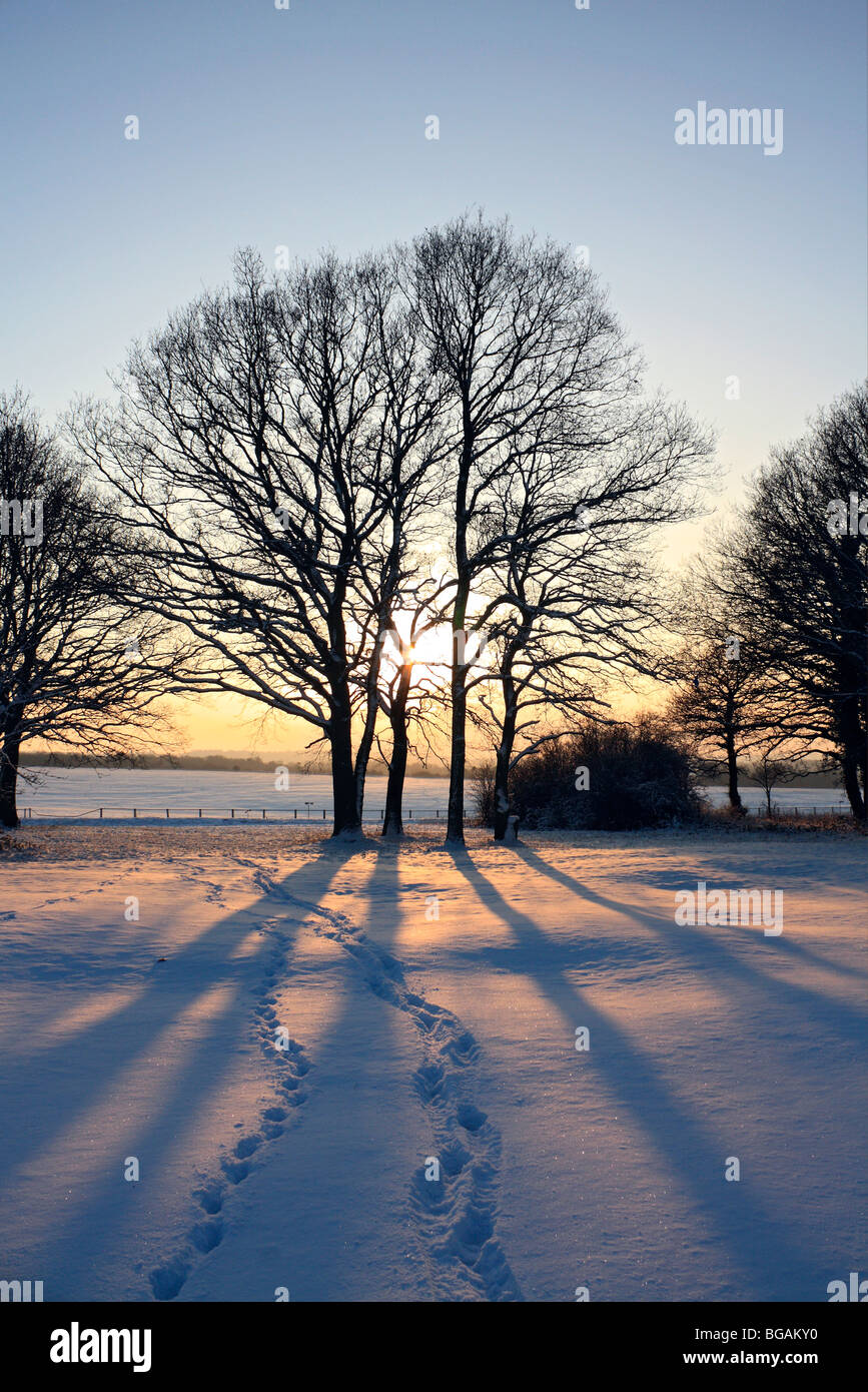 Epsom downs countryside hi-res stock photography and images - Alamy