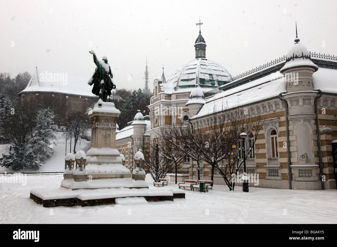 Statue tree hi-res stock photography and images - Alamy