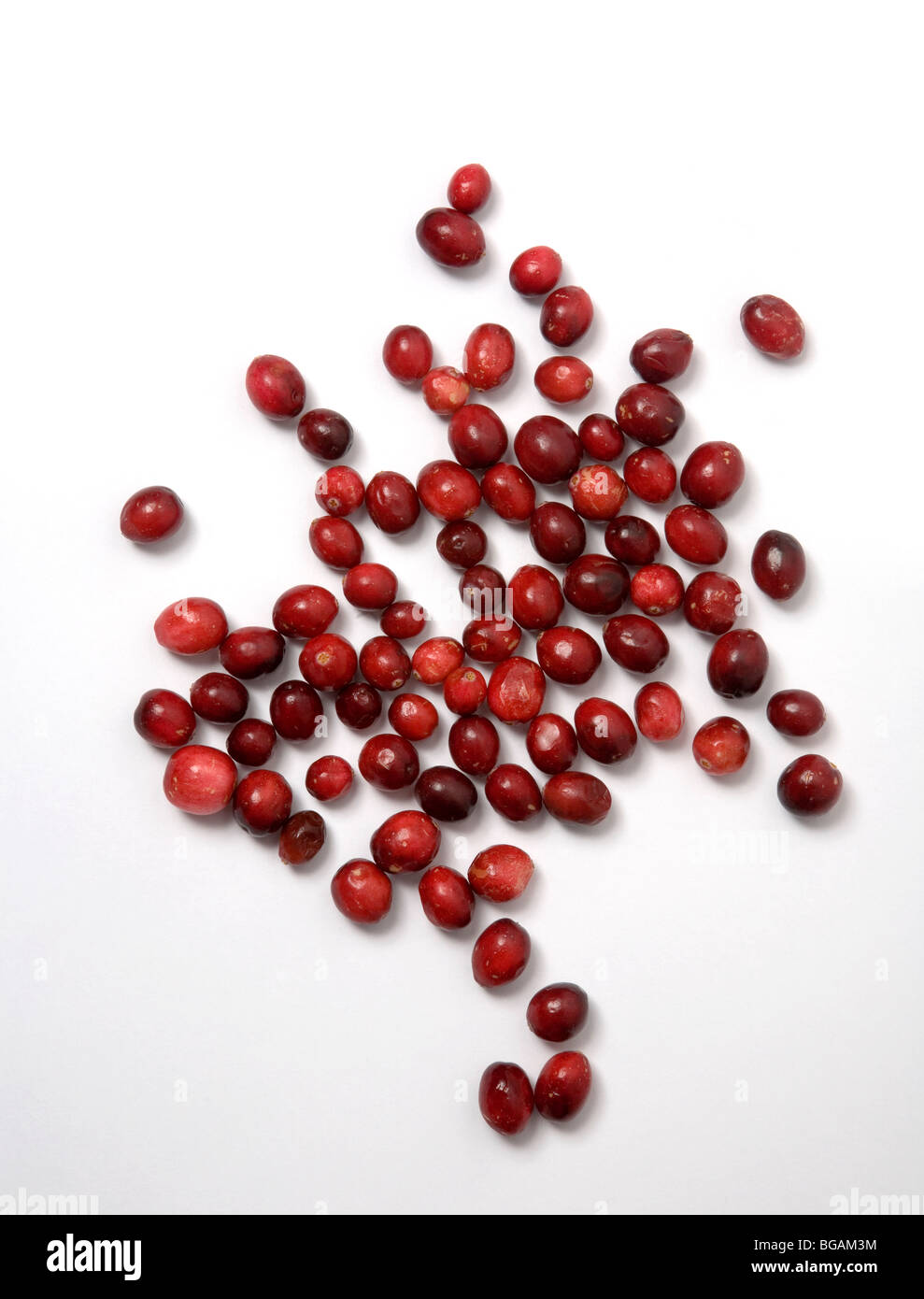 Bunch fresh cranberries hi-res stock photography and images - Alamy