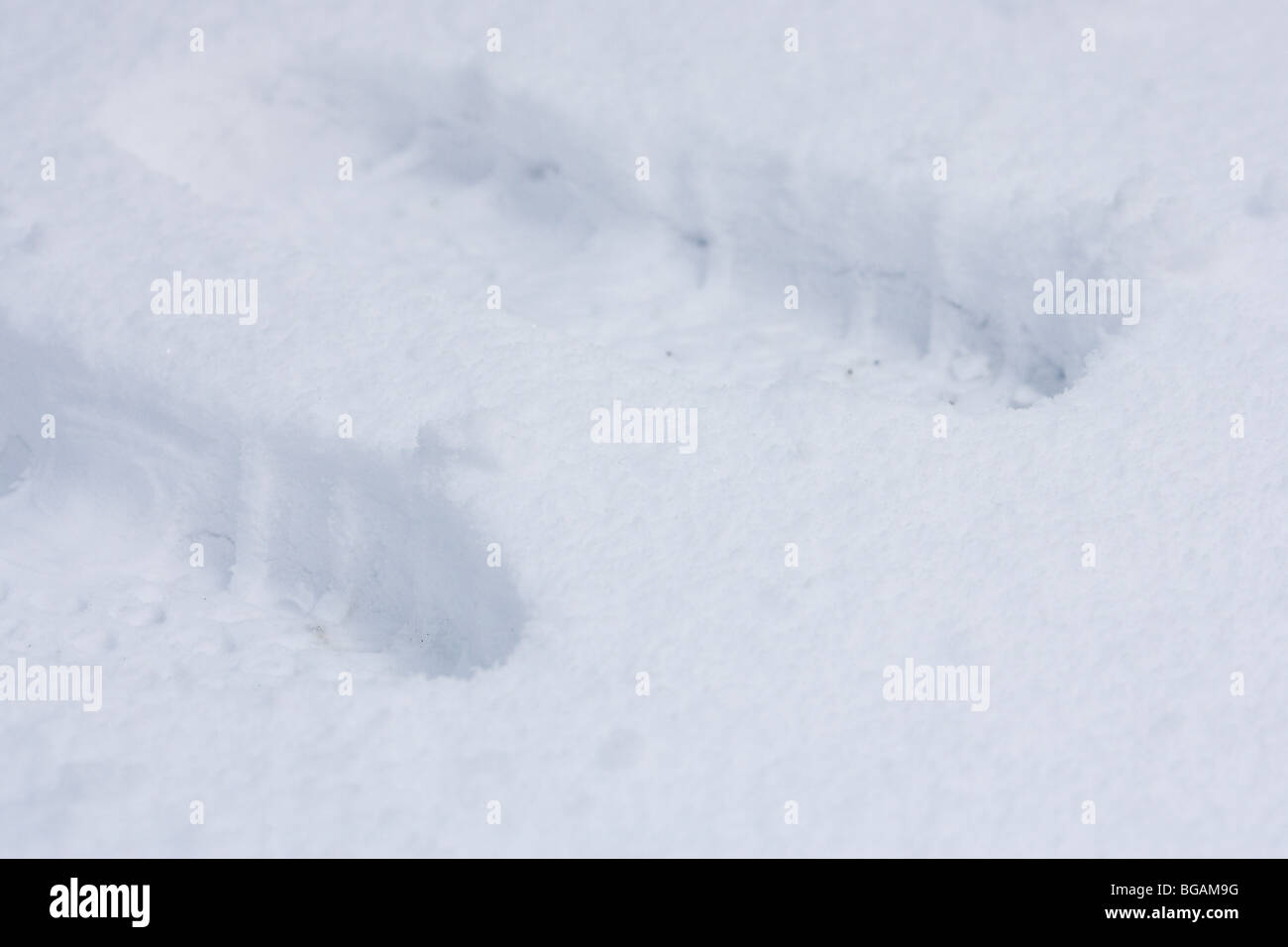 bootprints in the snow Stock Photo - Alamy