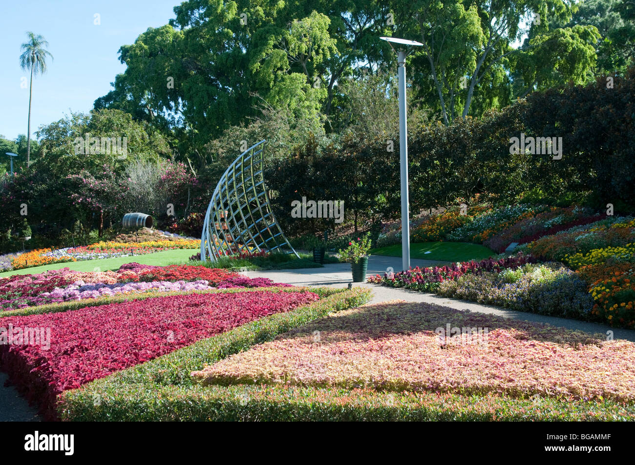 Roma Street Parkland, Brisbane, Queensland, Australia Stock Photo - Alamy