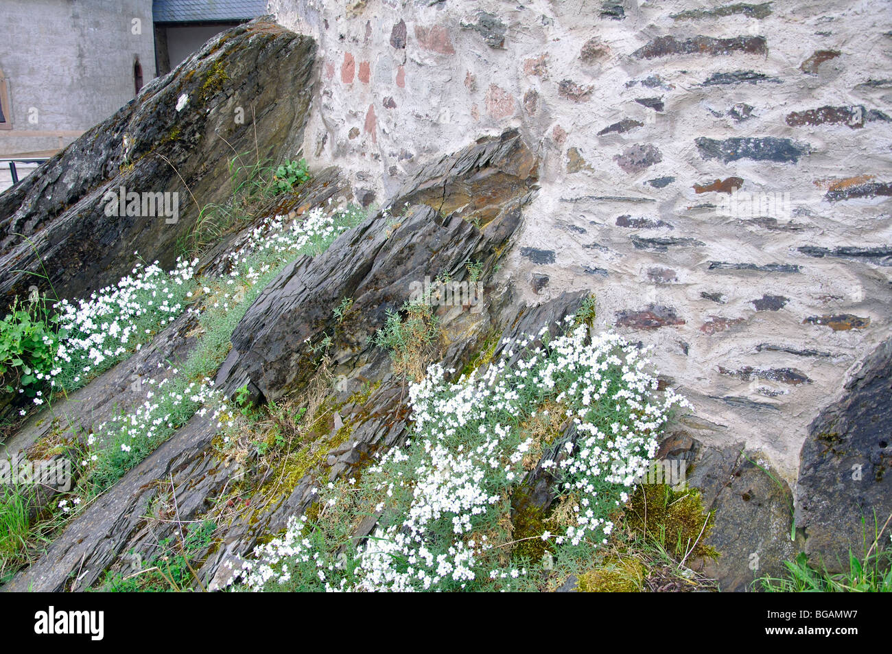 Vianden castle foundation in rock, Luxembourg Stock Photo - Alamy
