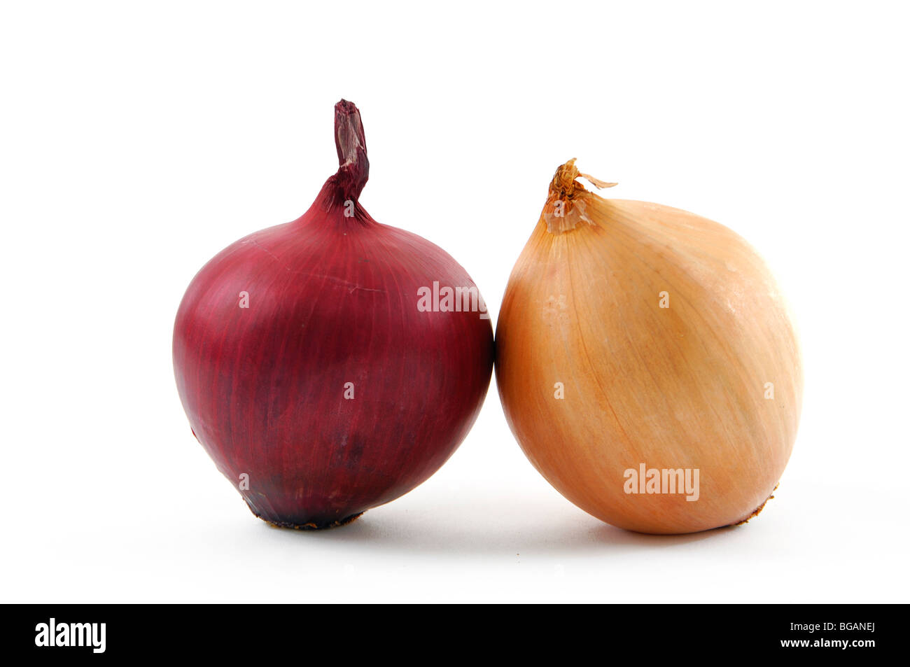 Close-up of onions Stock Photo - Alamy