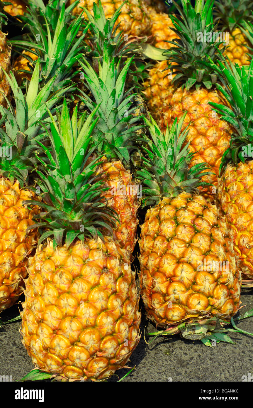 Pineapple ripeness hi-res stock photography and images - Alamy
