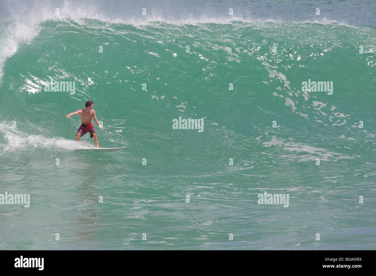 surfing ocean ride sea extreme sport wave swell fun Bali adrenalin big ...