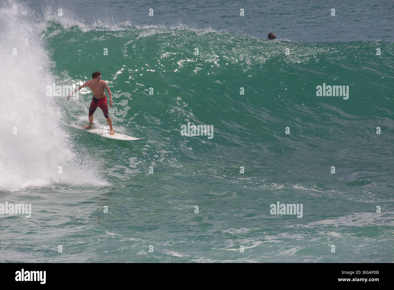 surfing ocean ride sea extreme sport wave swell fun Bali adrenalin big ...