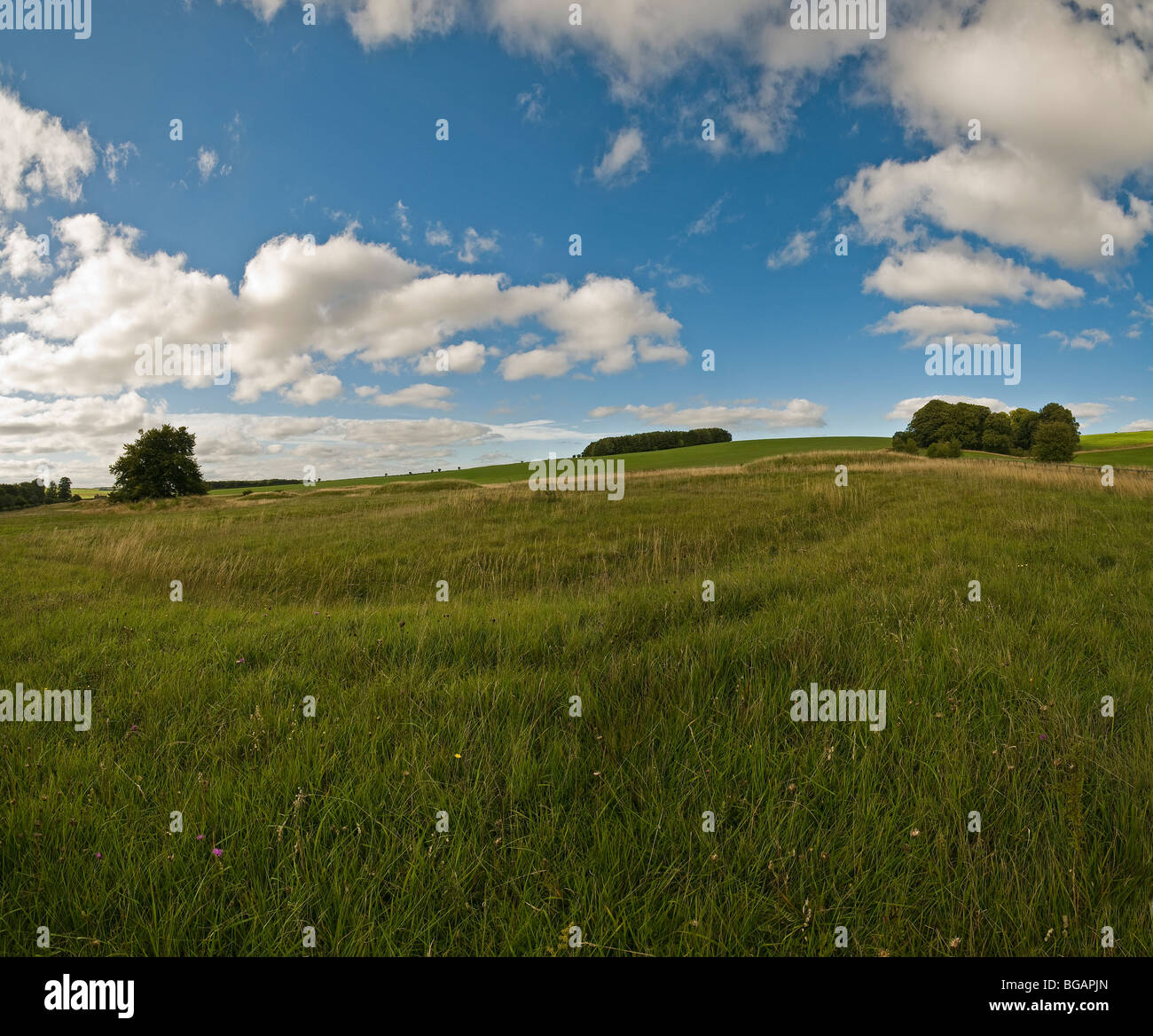 Unusual Disc Barrow in Bronze Age Barrow cemetery at Lambourn Seven ...