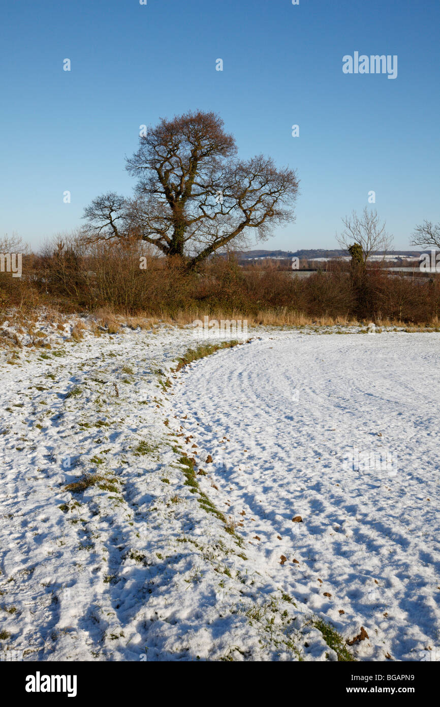 Snowy countryside scene Stock Photo - Alamy