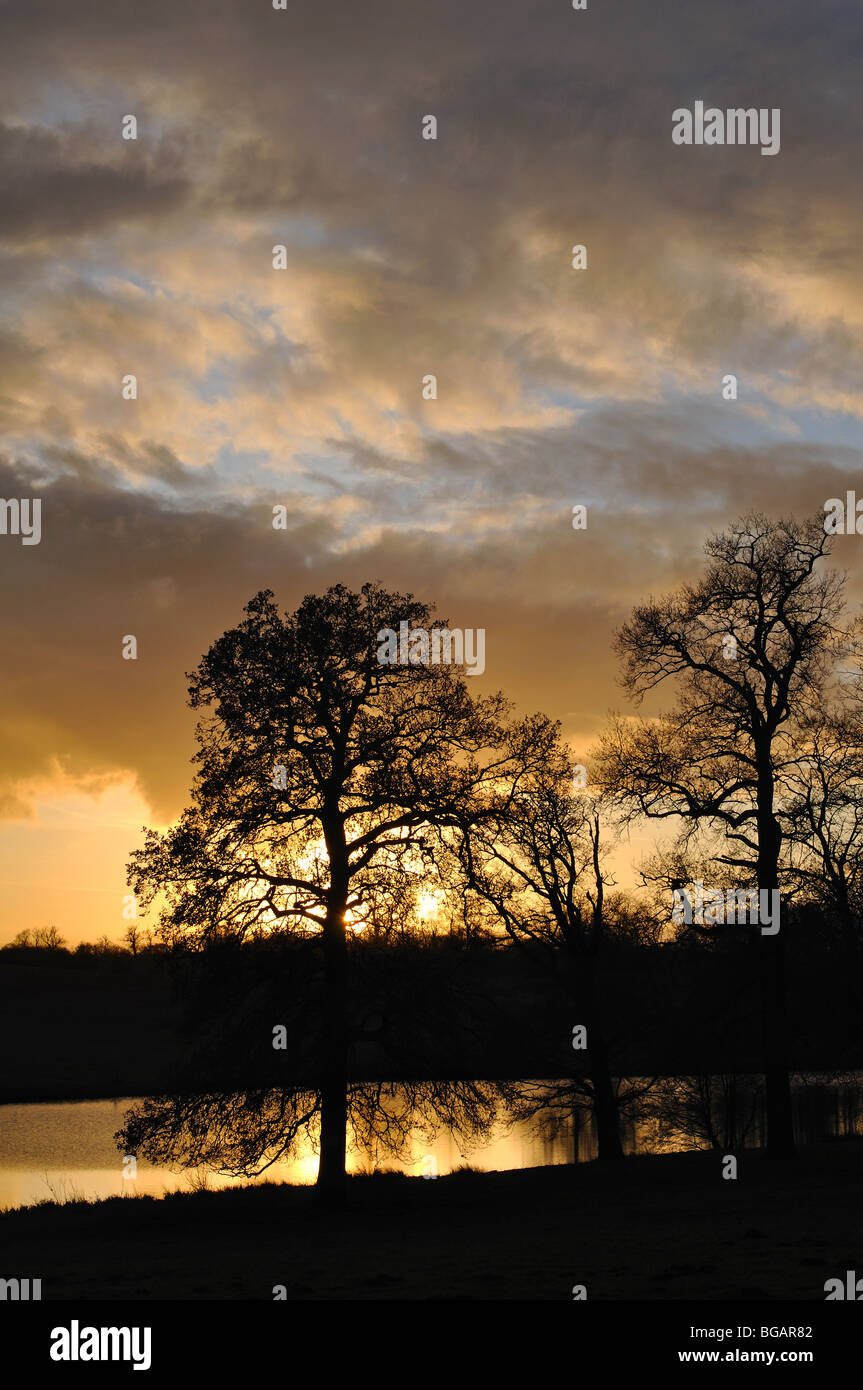 Fawsley park northamptonshire hi-res stock photography and images - Alamy