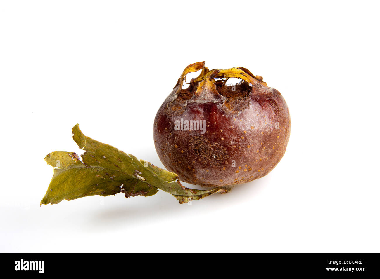 Blet hi-res stock photography and images - Alamy