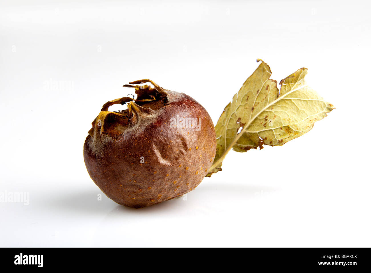 Medlar fruit on white background. close up Ripe blet fruit.090758 ...
