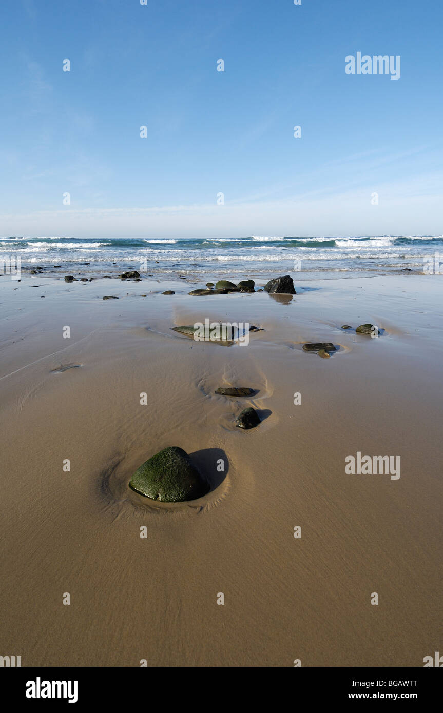 stones on the beach Stock Photo - Alamy