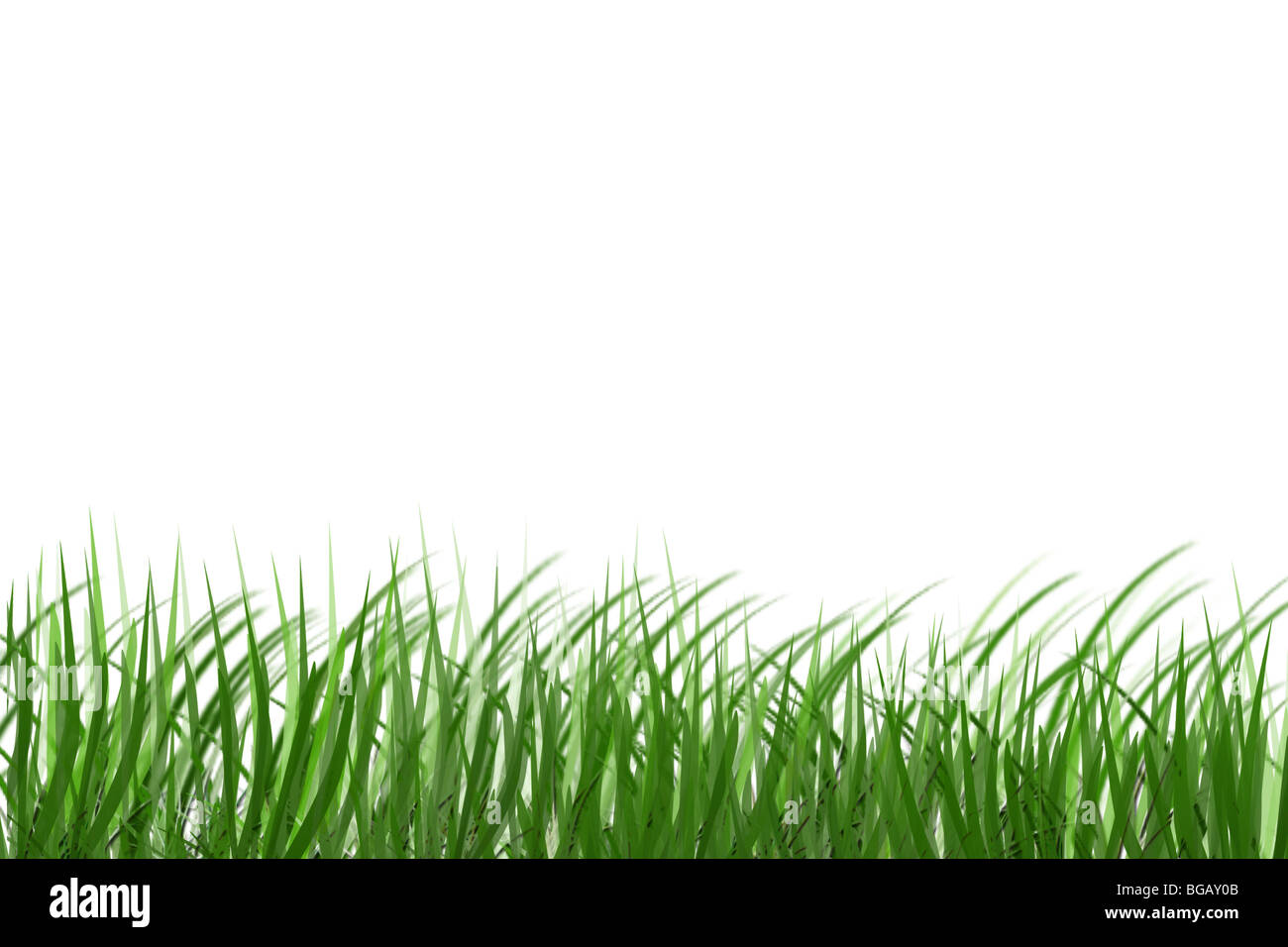 Plant simulation hi-res stock photography and images - Alamy