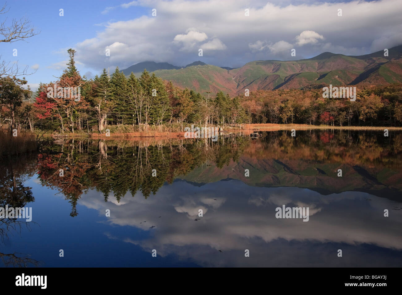 Japan, Hokkaido Island, Shiretoko Peninsula, Shiretoko National Park ...