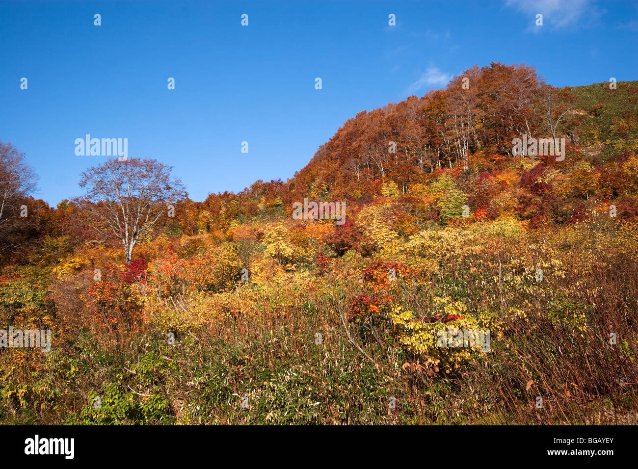 Japan honshu island tohoku hi-res stock photography and images - Alamy
