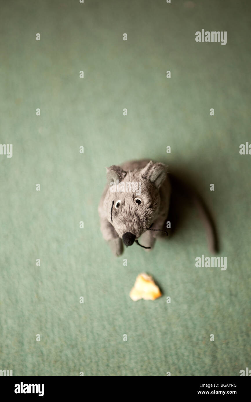 Mouse with cheese - overhead Stock Photo - Alamy