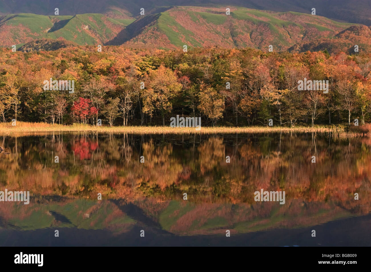 Japan, Hokkaido Island, Shiretoko Peninsula, Shiretoko National Park ...