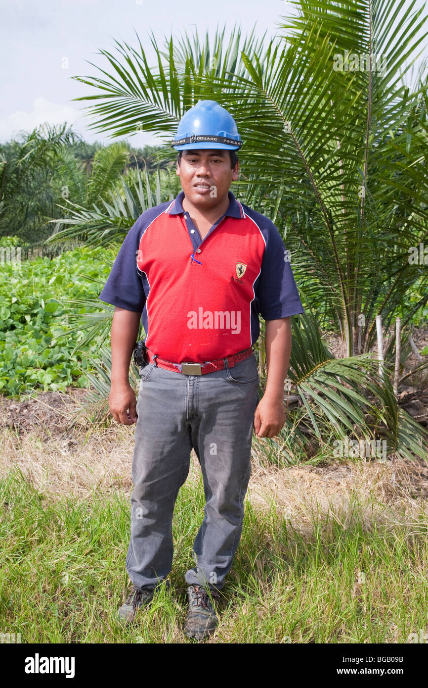 One malay malaysian people adult hi-res stock photography and images ...
