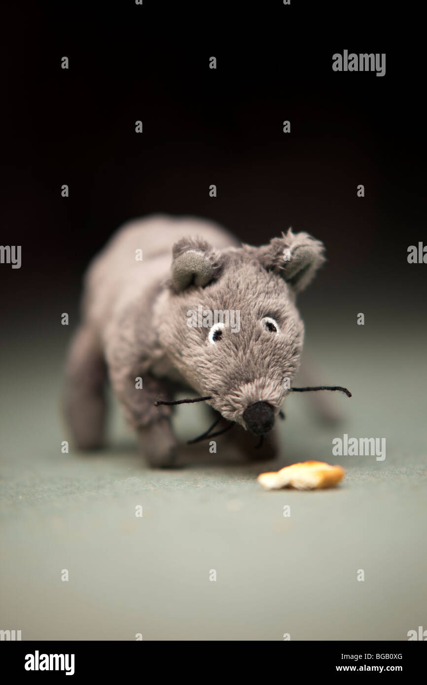 White cheese mouse hi-res stock photography and images - Alamy