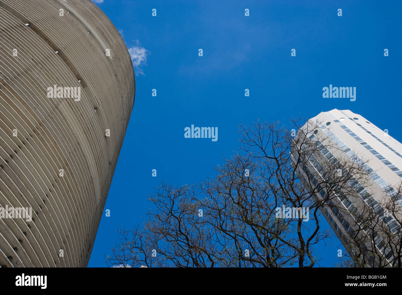 Tree between buildings, Sao Paulo, Brazil Stock Photo - Alamy