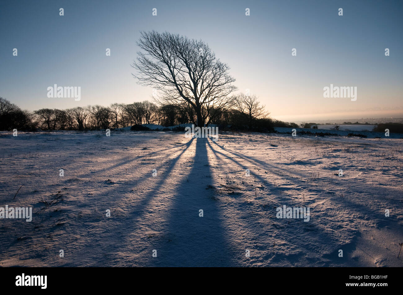 Casts tree shadow hi-res stock photography and images - Alamy