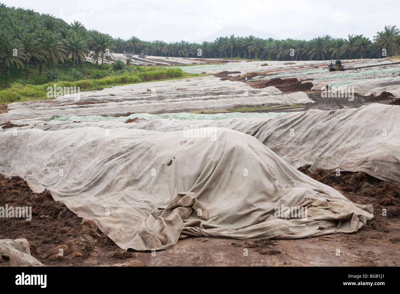 Compost heap layers pile hi-res stock photography and images - Alamy
