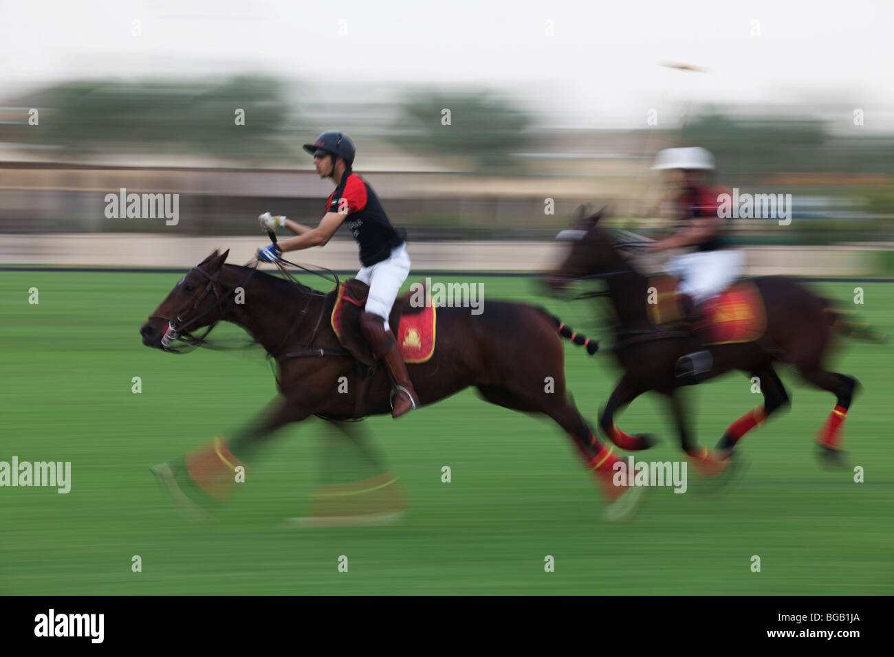 Polo Match at Habtoor Polo Club, Dubai, United Arabian Emirates Stock ...