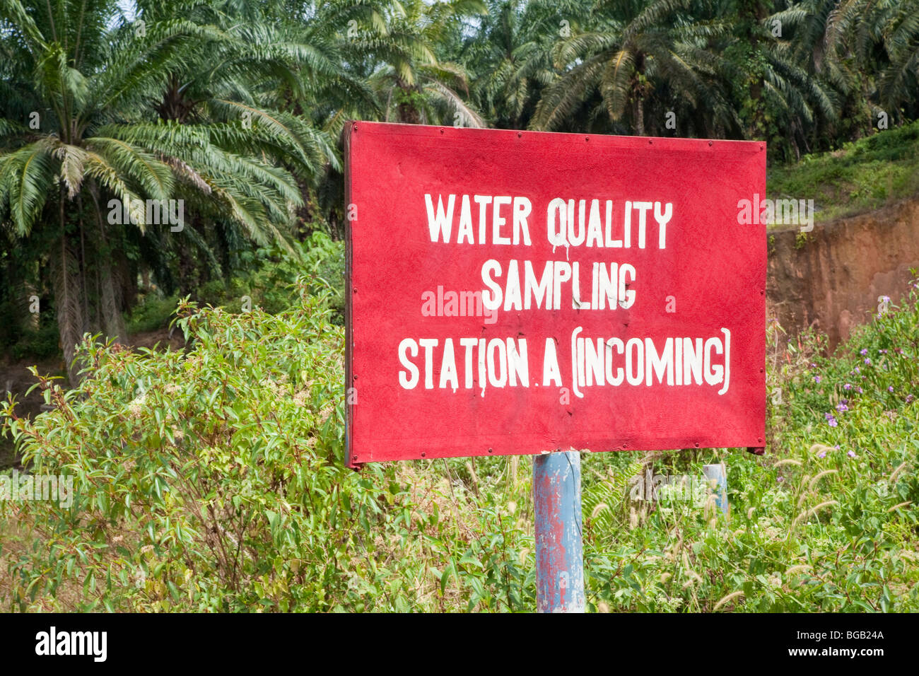 A water quality sampling station sign in a riparian section on a palm ...