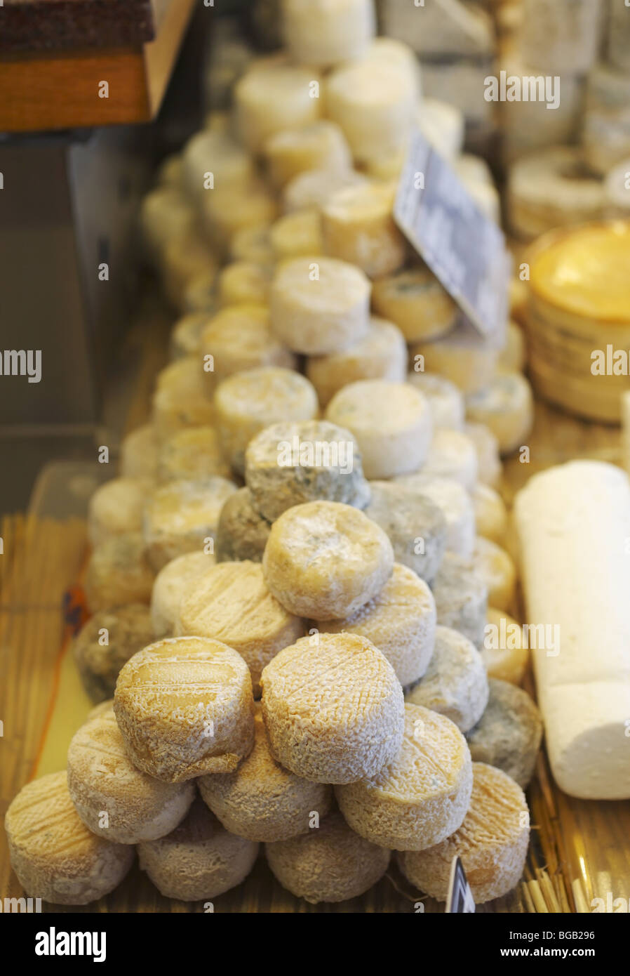 Selection of goat cheeses, store display, Paris, France Stock Photo - Alamy