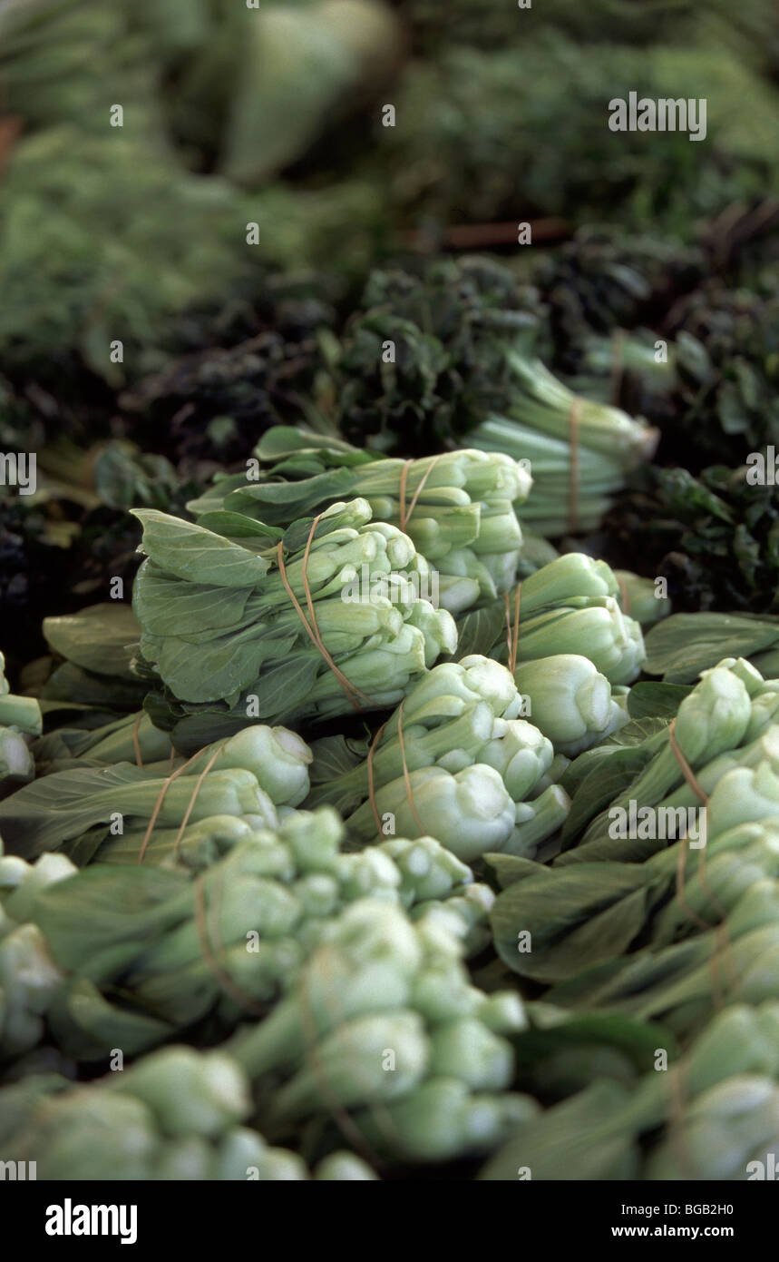 Bunches of bok choy in farmer's market Stock Photo - Alamy