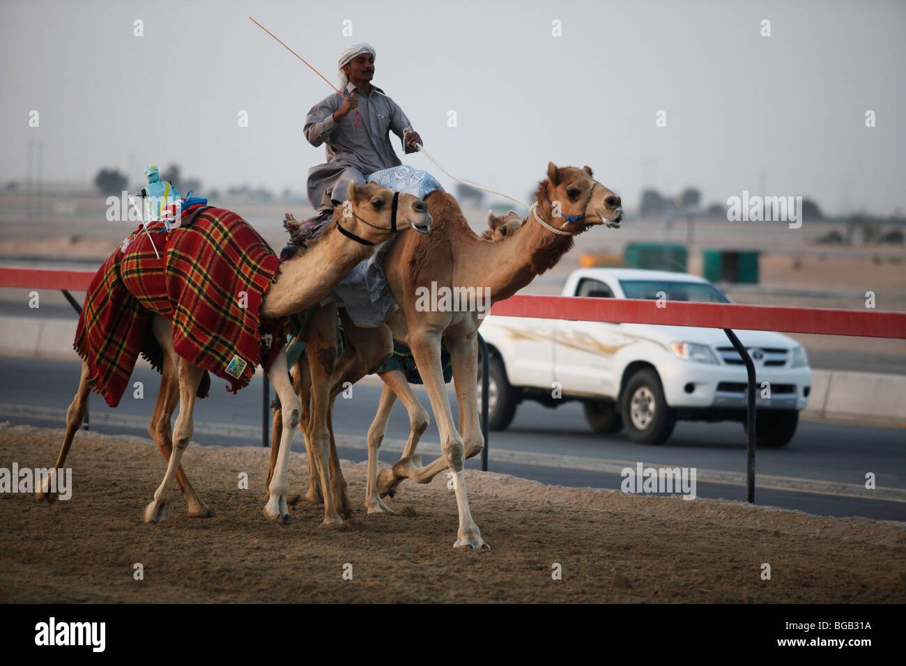 Camel Racing, Dubai, United Arabian Emirates Stock Photo - Alamy