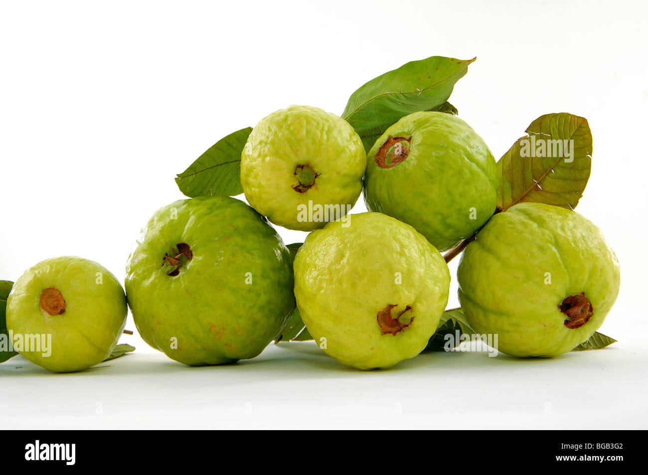 Guava fruit arrangement image hi-res stock photography and images - Alamy