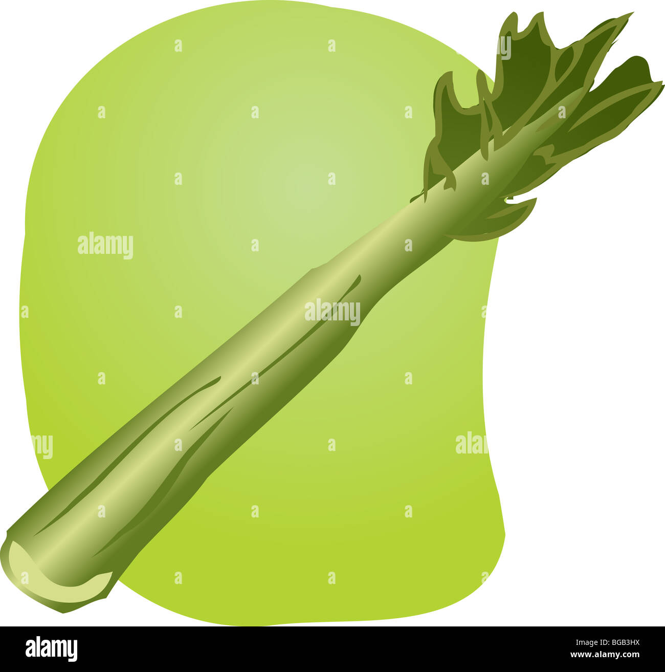 Sketch of a celery. Hand-drawn lineart look illustration Stock Photo ...