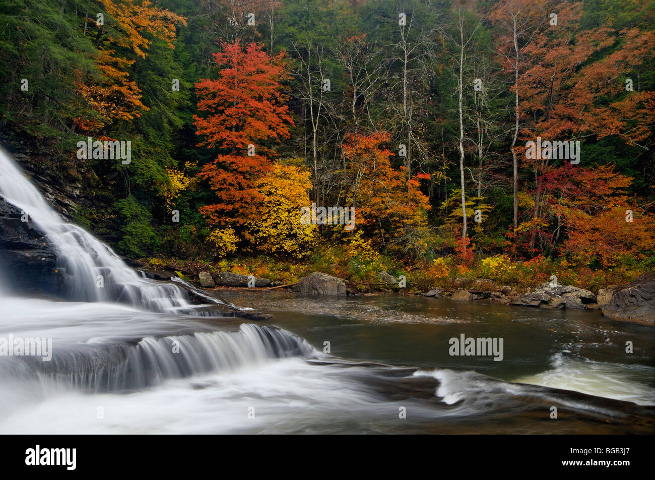 Autumn Color and Cane Creek Cascade in Fall Creek Falls State Park in ...